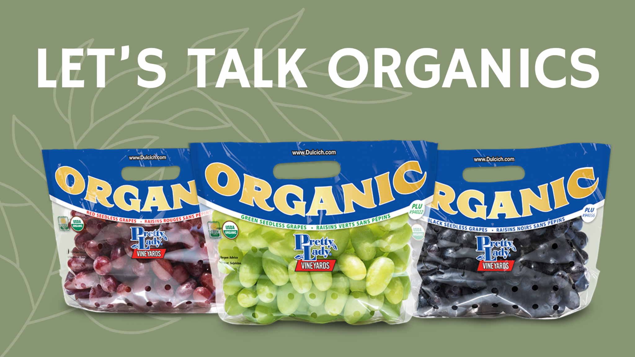 The Grape Vine - Pretty Lady Vineyards